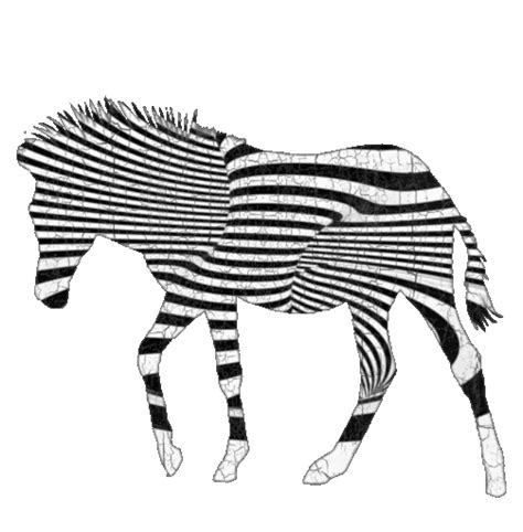 Zebra  Cartoon