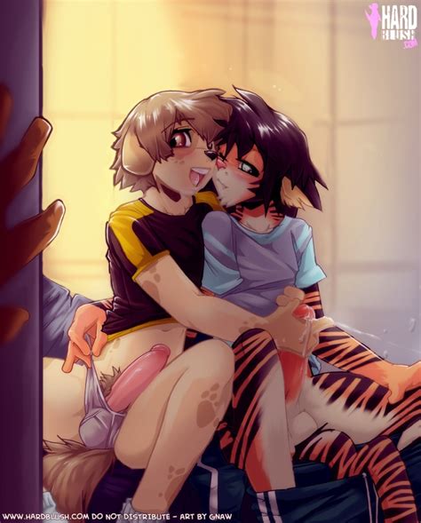 Rule 34 Balls Furry Furry Only Gay Gnaw Hardblush Male Penis 1925779