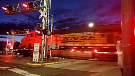 News Blog Posts Trixie Loves Delia