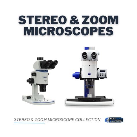 Stereomicroscopev1701562342