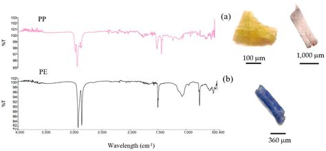 Spatial Temporal Distribution And Ecological Risk Assessment Of