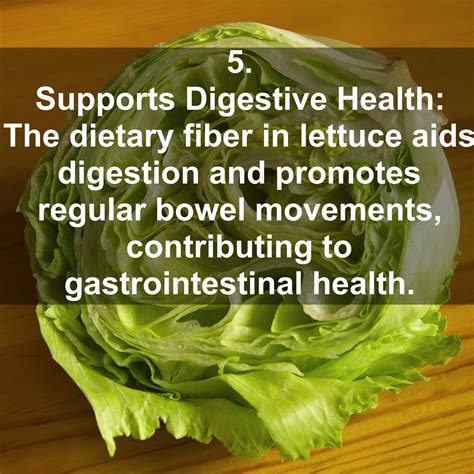 10 Benefits Of Lettuce Myhealthfuldiet Com