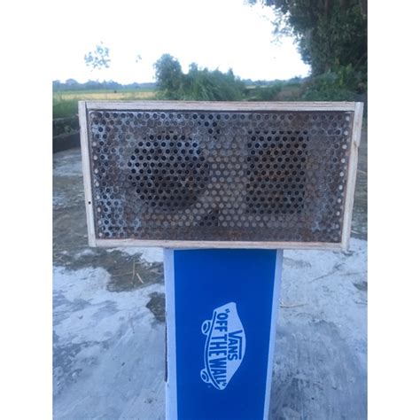 Jual Box Line Array Shopee Indonesia