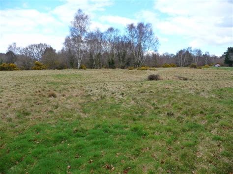 Visit Shirrell Heath 2026 Travel Guide For Shirrell Heath Southampton