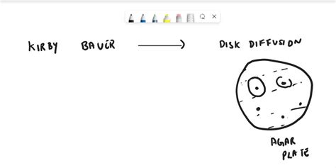 Solved Kirby Bauer Method Of Antibiotic Sensitivity Test Is Which Type Of A Test Quantitative