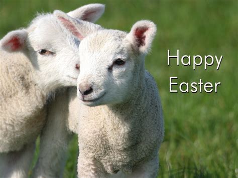 Realtor Dawn Bourbeau Wilbraham Ma