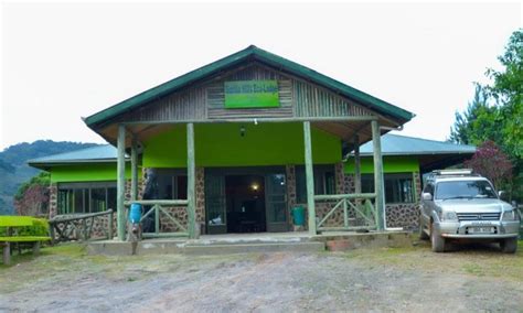 Gorilla Hill Eco Lodge Bwindi National Park Gorilla Tours