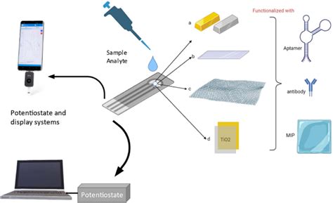 Electrochemical Biosensors Portable And Stationary For Detection Of Download Scientific