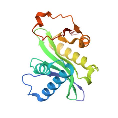 Gene Q92830 Protein Kat2a Overview Cansar Ai