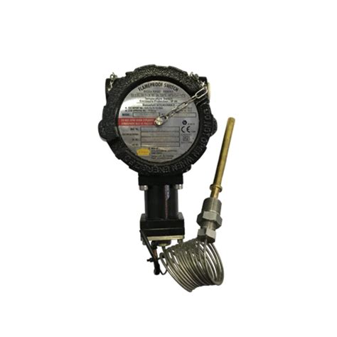 Flameproof Temperature Switch At Best Price In India