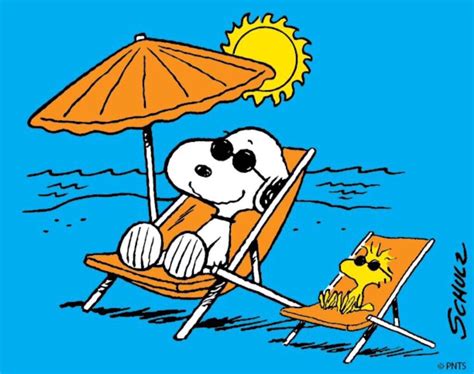 Snoopy Snoopy Snoopy Pictures Snoopy Cartoon