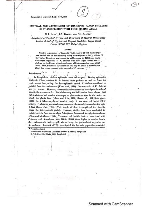 Pdf 1988 Islam Ms Survival And Attachment Of Toxigenic Vibrio