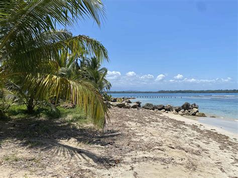 Discover Paradise At The Best Bocas Del Toro Beaches