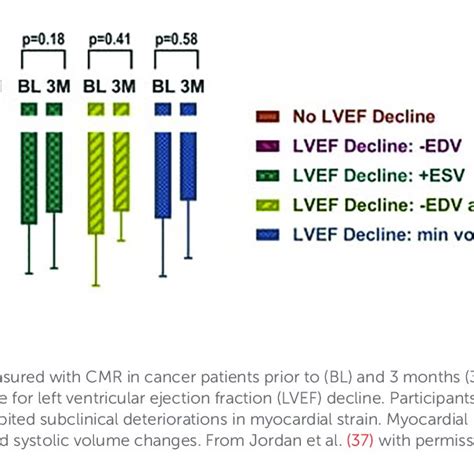 Comparison Of T1 And Ecv Map Images Representative Left Ventricular Download Scientific