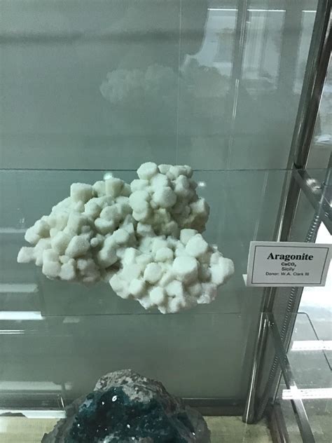 Mmmm Melty Marshmallows Crack Rforbiddensnacks