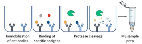 Hcp Elisa Coverage Analysis Without Null Cell Line