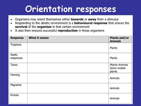 Ppt Behaviour Powerpoint Presentation Free Download Id1017239