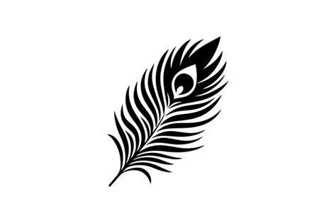 Peacock Feather Clipart Vector Silhouette Isolated In White Background