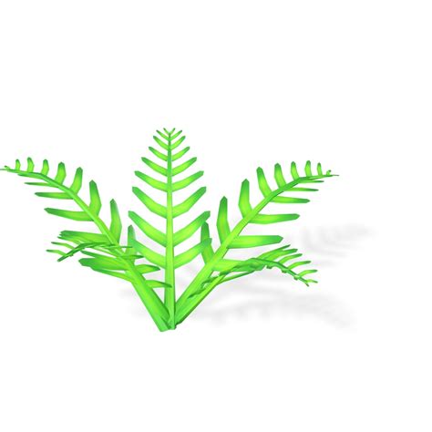 Filicopsida Orchid Flower Sunflower Plant Garden Furniture Forest