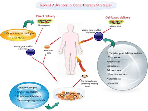 Frontiers Advances And Challenges In Gene Therapy Strategies For