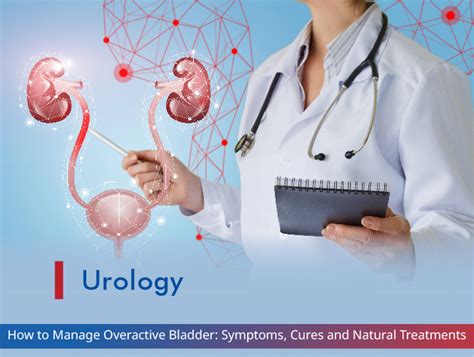 Overactive Bladder Symptoms Cures And Natural Treatment