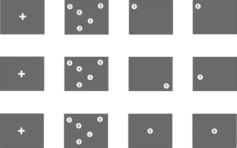 Procedures Used The Stimuli Used In The Memory Display Are Represented