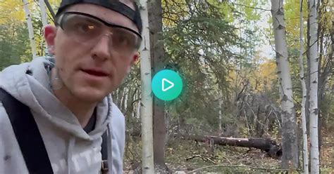 Biggest Tree Ive Ever Felled Album On Imgur