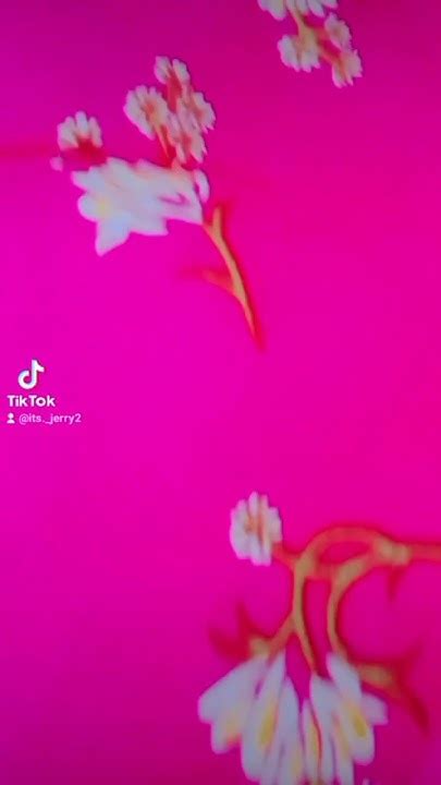 Chick Phely Aaya Yan Egg 😁yan Phely Main Aai 🫣cute Shortvideo