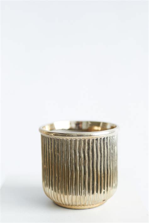 Auksinis Vazonas — Story By Nature