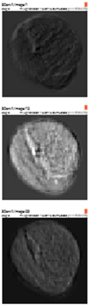 Convolution Visualization Results Of The New Network Final Model The