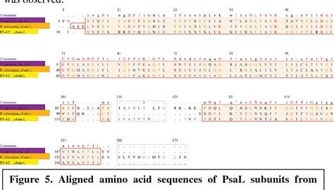 Figure 1 From Cryo Em Structure Of A Tetrameric Cyanobacterial Photosystem I Complex Reveals