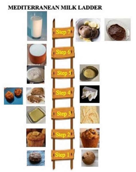 Mediterranean Milk Ladder Integrating A Healthy Eating Plan While