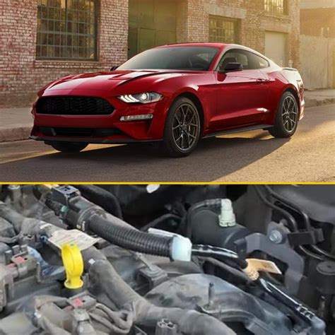 Fuel Vapor Purge Tube Hose Evap For 2015 2023 Ford Mustang With 23l