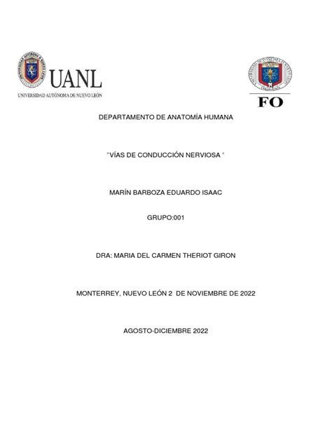 Resumen VÍas De Conducción Nerviosa Eduardo Isaac Marin Barboza Pdf Médula Espinal Cerebro