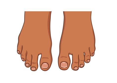 Bare Feet Top View Over 195 Royalty Free Licensable Stock