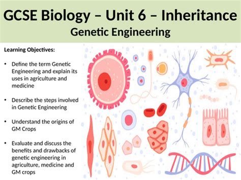 Gcse Biology Genetic Engineering Teaching Resources