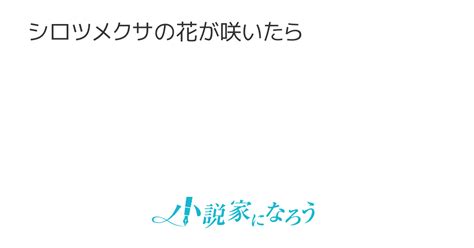 シロツメクサの花が咲いたら