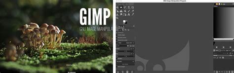 Raster Graphics Tools Data Science Workbook