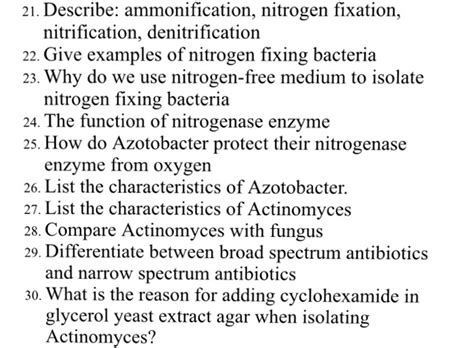 Solved Describe Ammonification Nitrogen Fixation