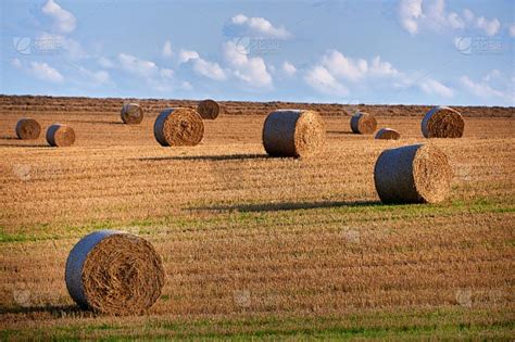 秋天田野上的稻草捆图片秋天图片图片素材 花瓣网