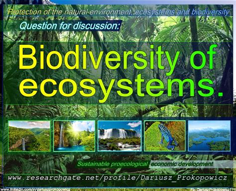 What Is The Link Between Biodiversity And Ecosystem Researchgate
