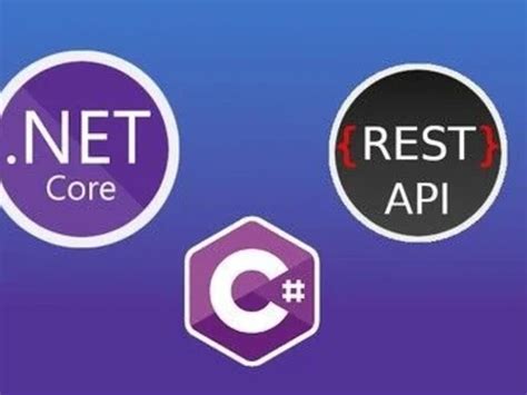 Fast And Efficient Code Solutions Net Api And Web Upwork