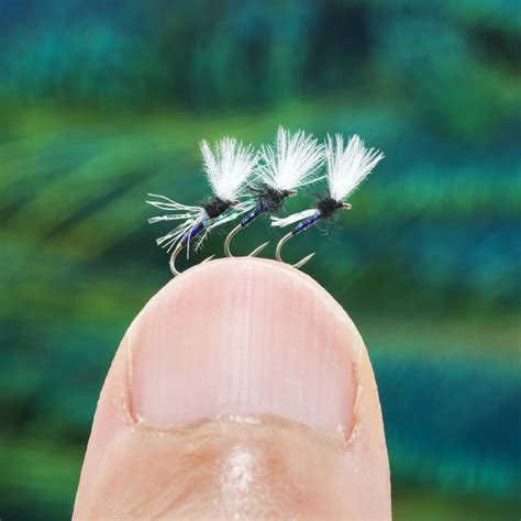 Video Tying A Size 24 Black Midge Dry Fly Fly Tying