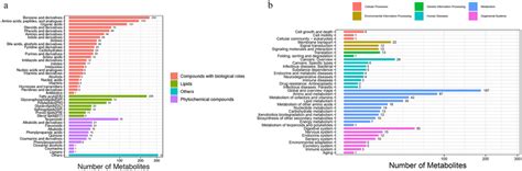 Classification Of Metabolites A Metabolite Classification Chart The
