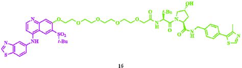 Chemical Structure Of Ripk2 Targeting Protac Download Scientific Diagram