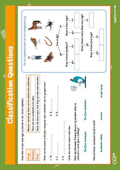 Classification Local Study — Questions Foundation Year 6 Cgp Plus