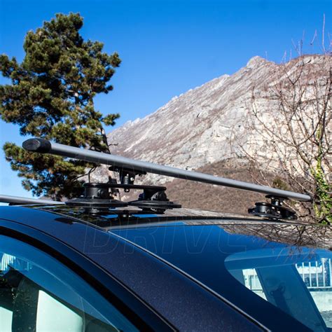 Treefrog Suction Cup Roof Racks For Tesla Model 3 Y S And X