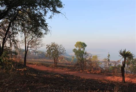 Galiwinku Community Pastmasters