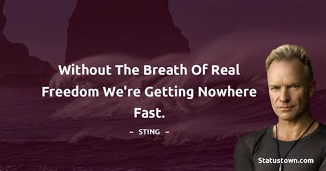 30 Best Sting Quotes