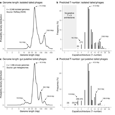 Predicted Architectures Among Tailed Phage Isolates A Genome Length